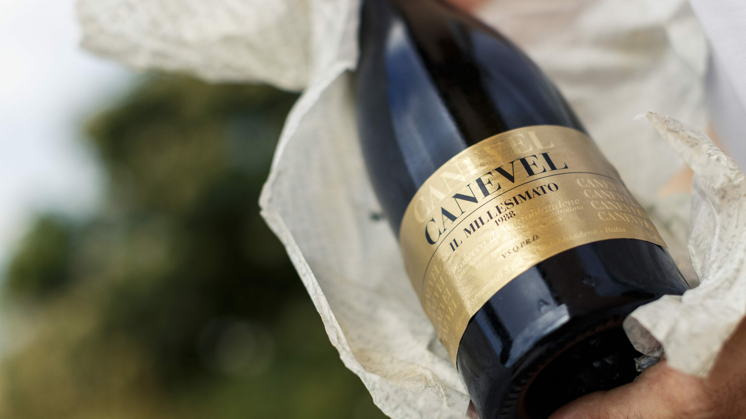 Canevel 2020, il prezioso diamante della “piccola cantina” | VeneziePost